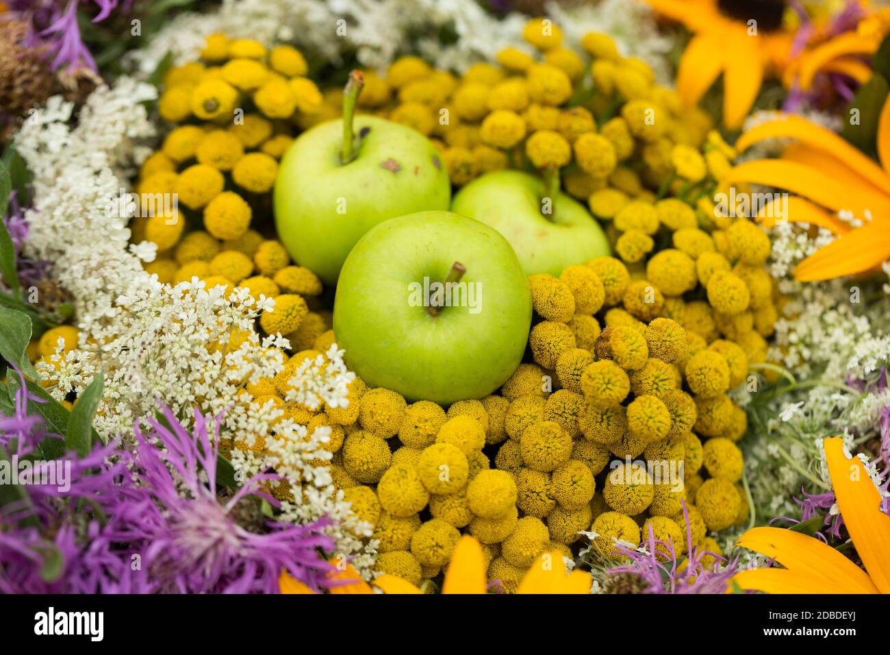 handmade beautiful bouquets from flowers and herbs Stock Photo - Alamy