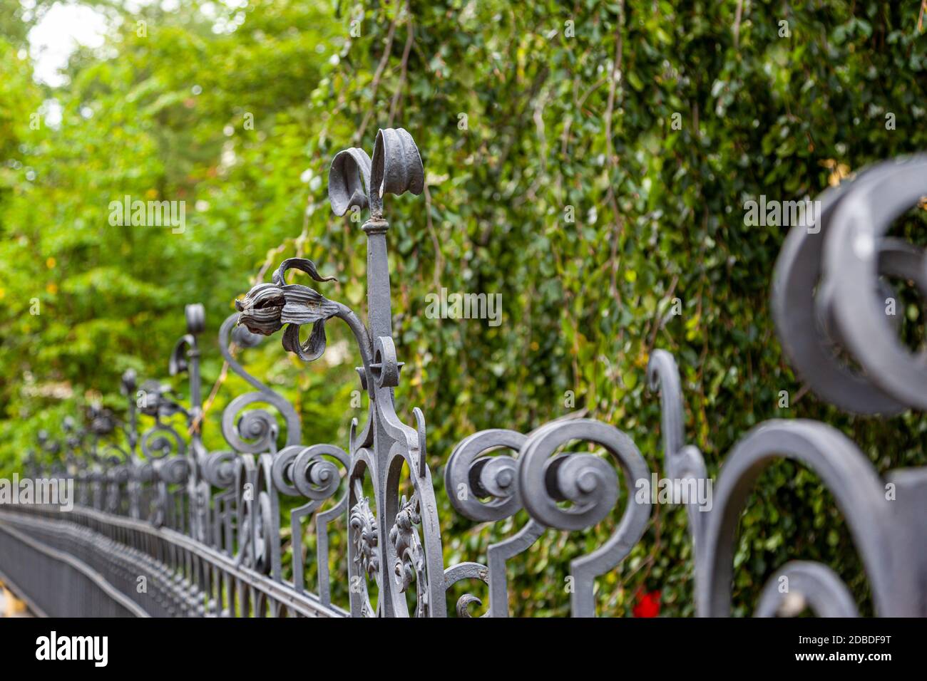 Iron leaf pattern hi-res stock photography and images - Alamy