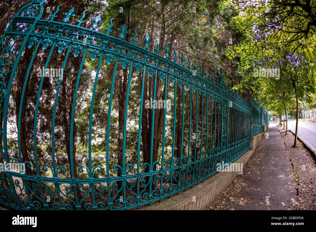 Iron Leaf Pattern High Resolution Stock Photography and Images - Alamy