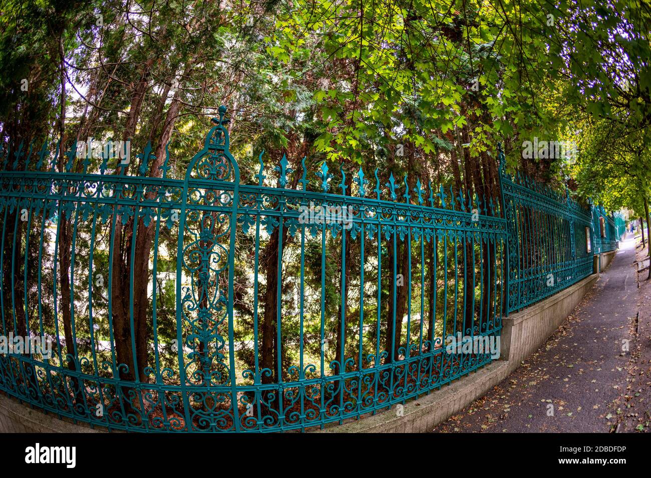 Iron Leaf Pattern High Resolution Stock Photography and Images - Alamy