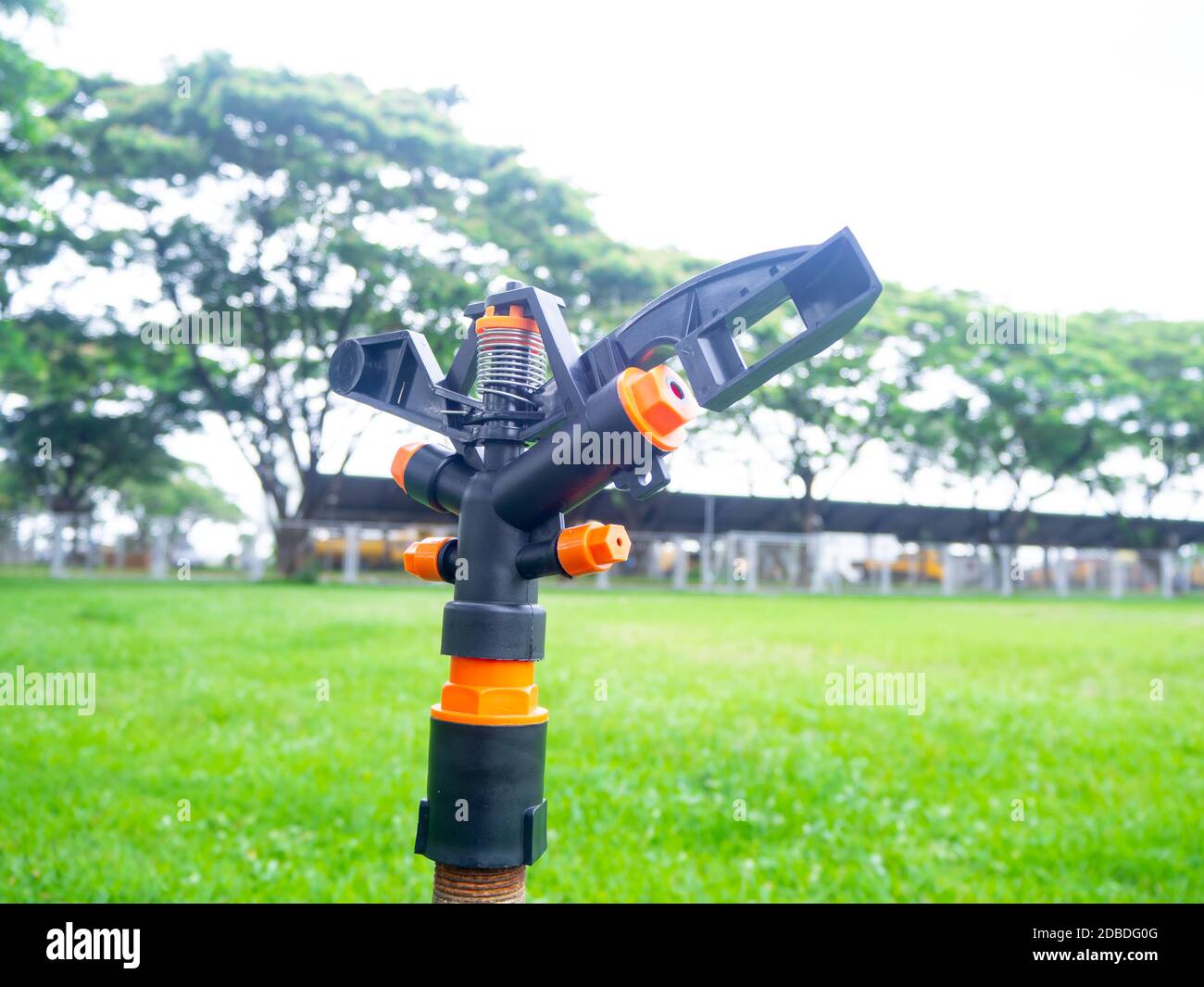 Springer watering plants hi-res stock photography and images - Alamy