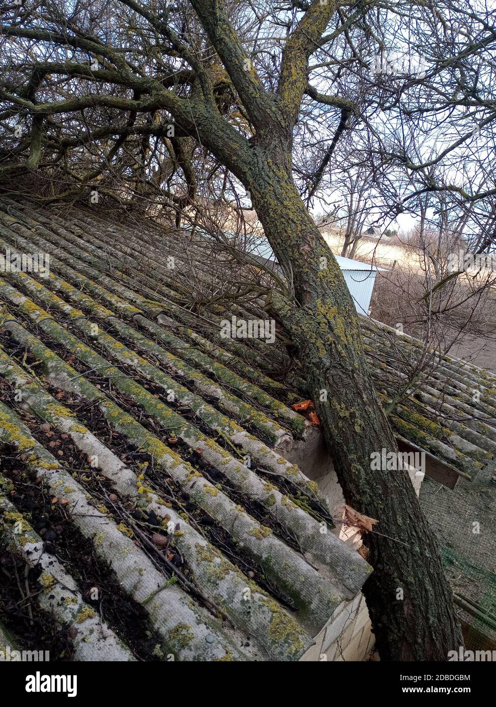 Roof blown away hi-res stock photography and images - Alamy
