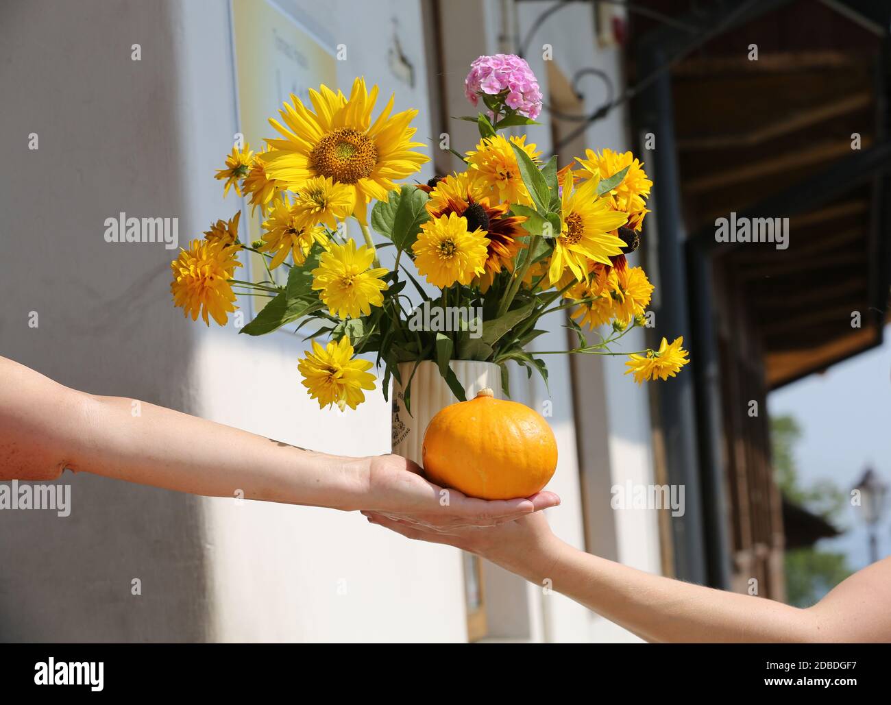 the beautiful bouquet from sunflowers, hydrangeas and chrysanthemums ...