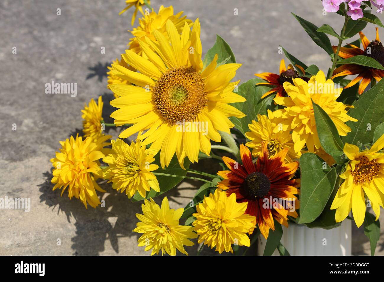 the beautiful bouquet from sunflowers, hydrangeas and chrysanthemums ...