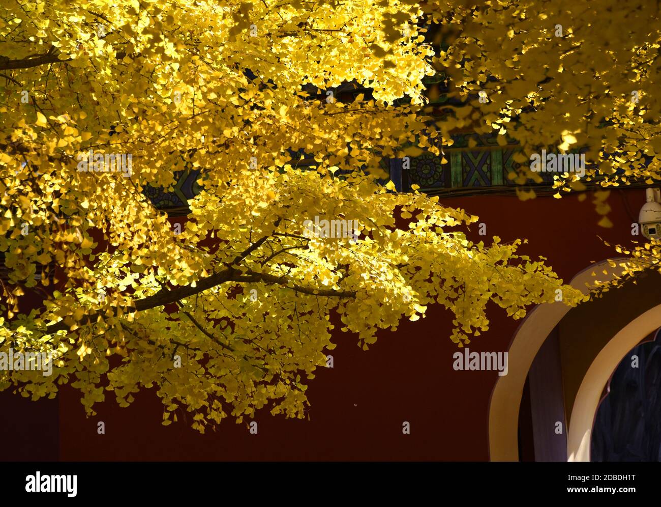 Zhongshan china november 17 hi-res stock photography and images - Alamy