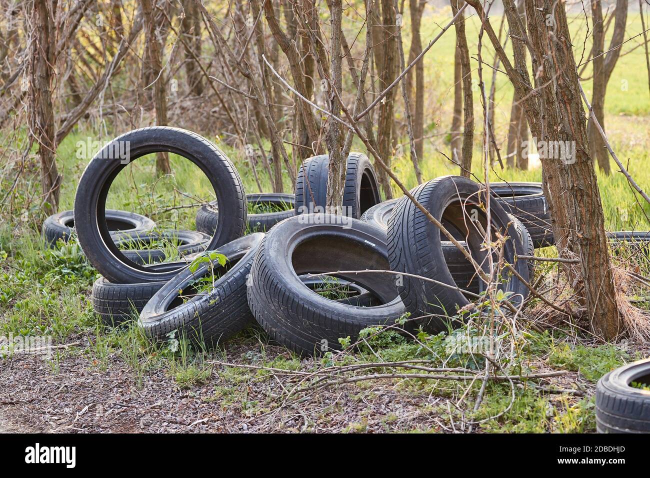 Old tyres in a waste pile got rid of by illegal dumping in a forest ...
