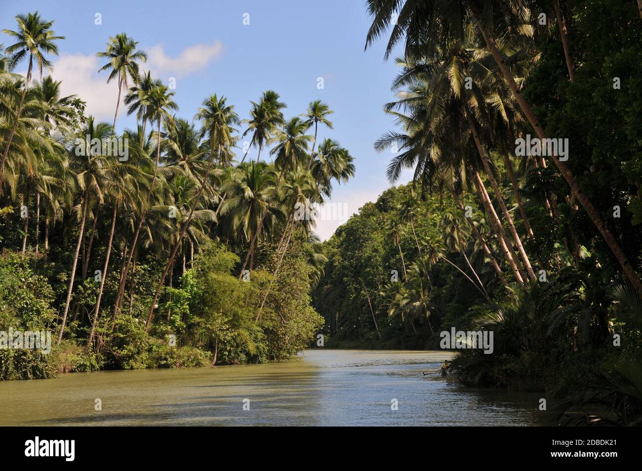 Loboc River in the Philippines on Bohol Stock Photo - Alamy