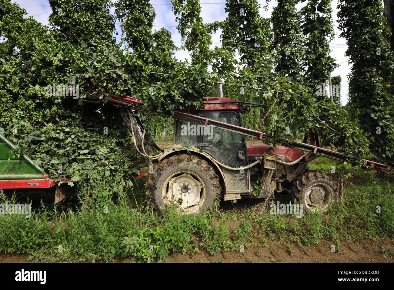 Hop picking machine hi-res stock photography and images - Alamy