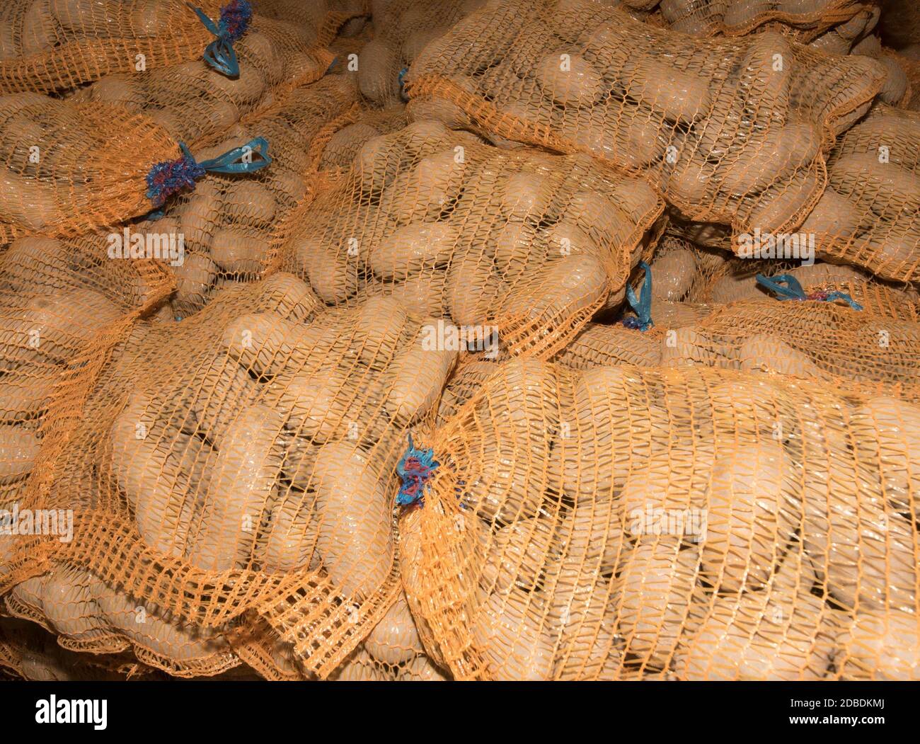 Growing potatoes in bags hi-res stock photography and images - Alamy