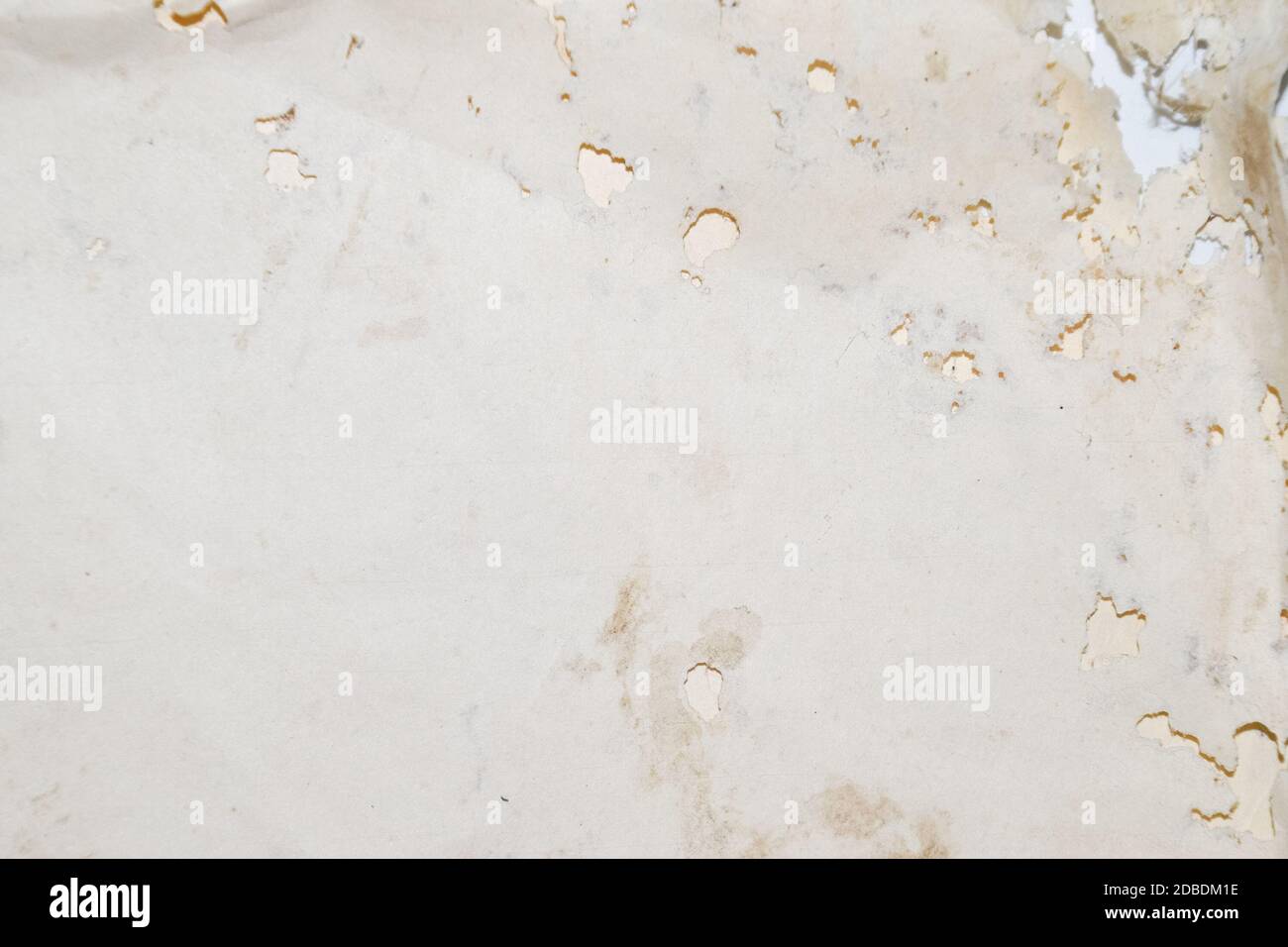 Paper swallowed with silverfish. Traces of wrecking silverfish on vinyl ...