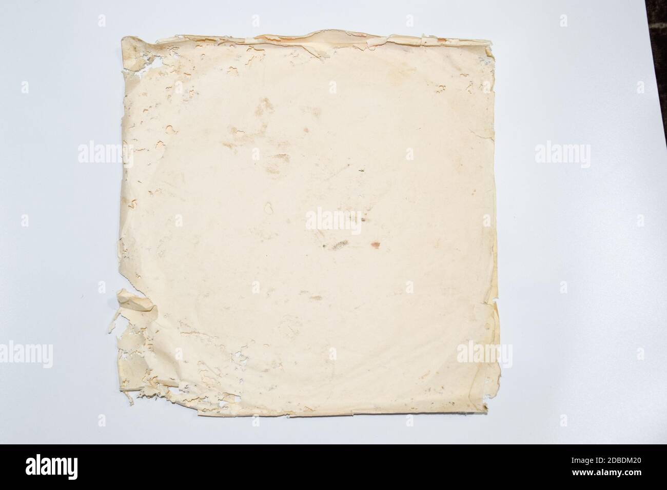 Paper swallowed with silverfish. Traces of wrecking silverfish on vinyl ...
