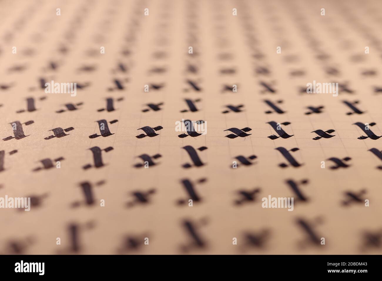 Calligraphic letter X learning skills paper page. Calligraphy letters x ...