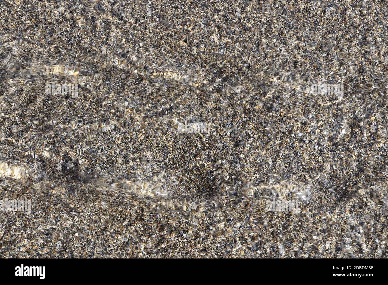 Motion dynamic hi-res stock photography and images - Alamy