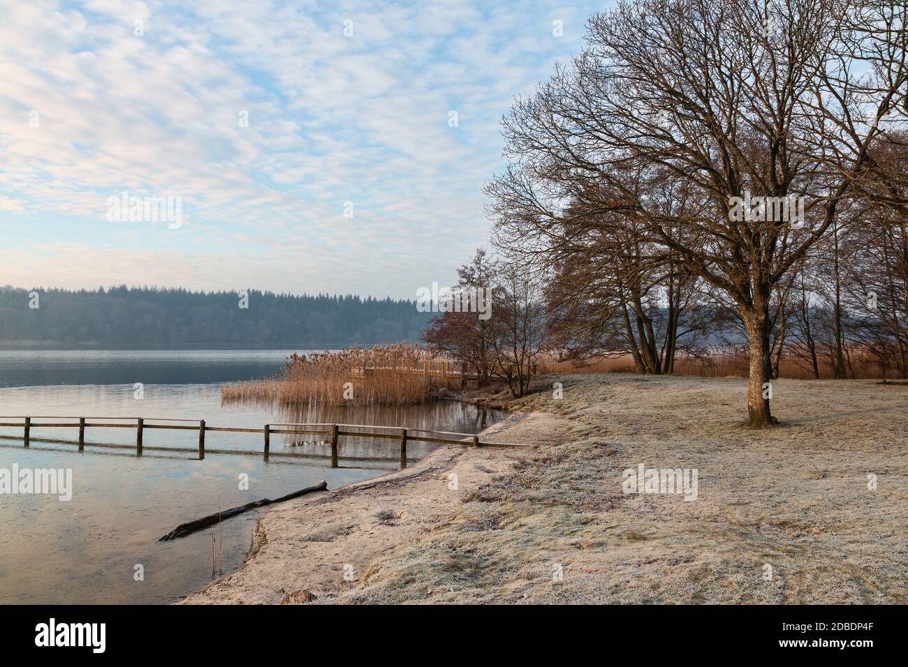 Autumn at a lake near Silkeborg, Denmark Stock Photo - Alamy