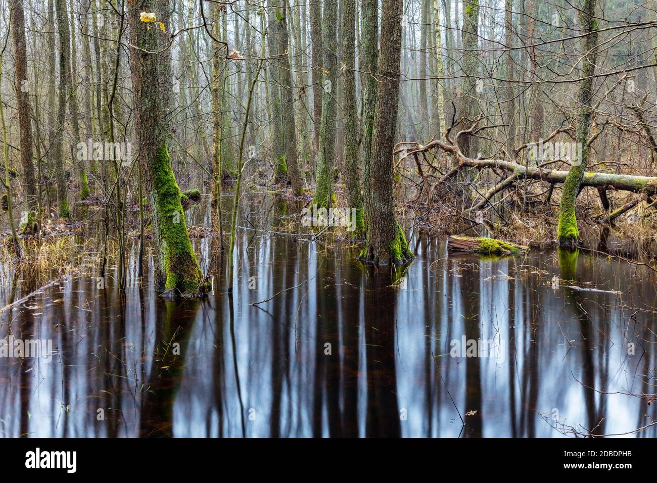 Warmia masuria hi-res stock photography and images - Alamy