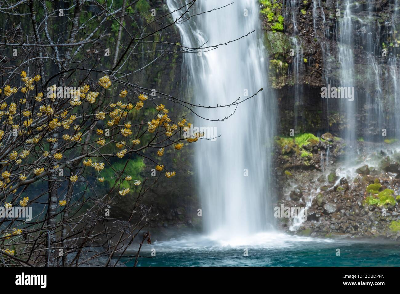 Beautiful waterfalls in Japan Stock Photo - Alamy