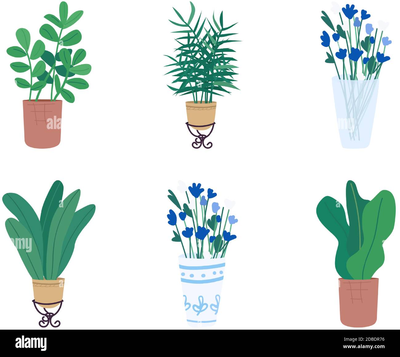 Homeplants flat color vector object set Stock Vector Image & Art - Alamy