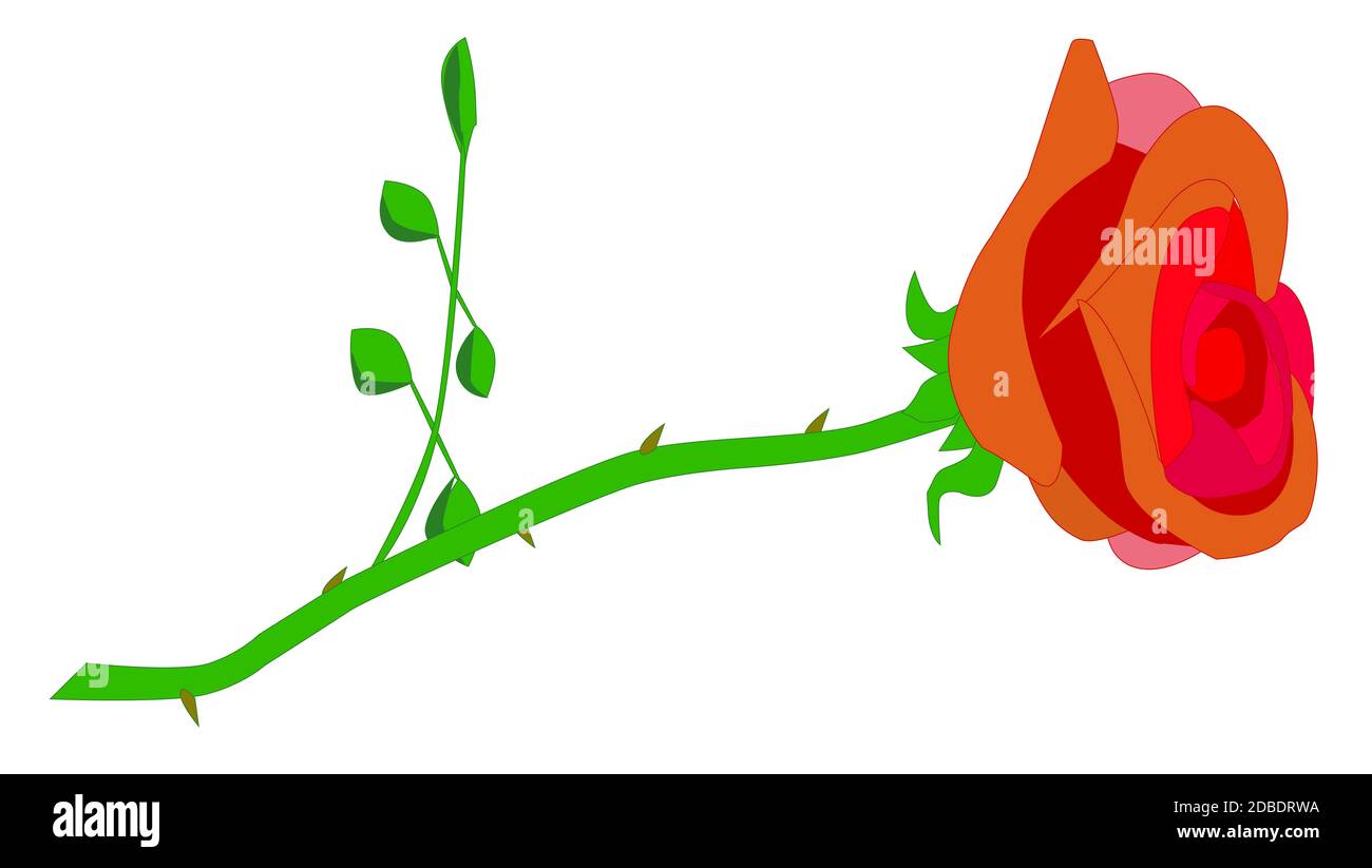 Cartoon rose Cut Out Stock Images & Pictures - Alamy