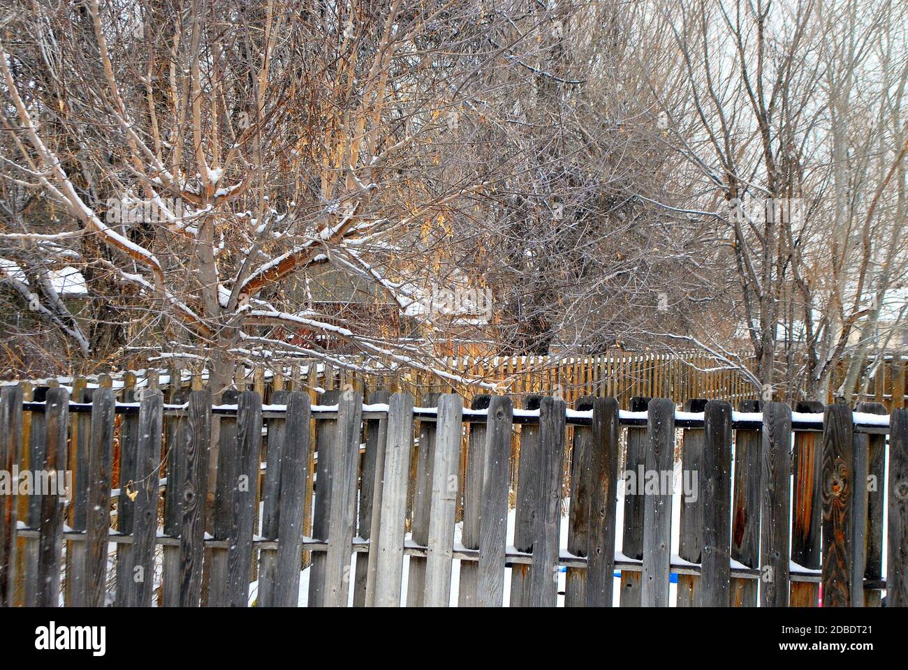 Winter snow outdoors Stock Photo - Alamy