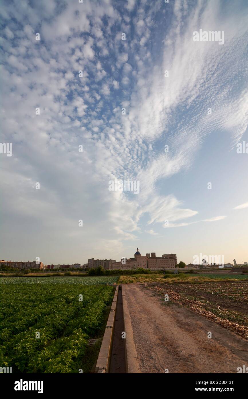 Organic farming fields, monastery orchards, blue sky with clouds Stock ...
