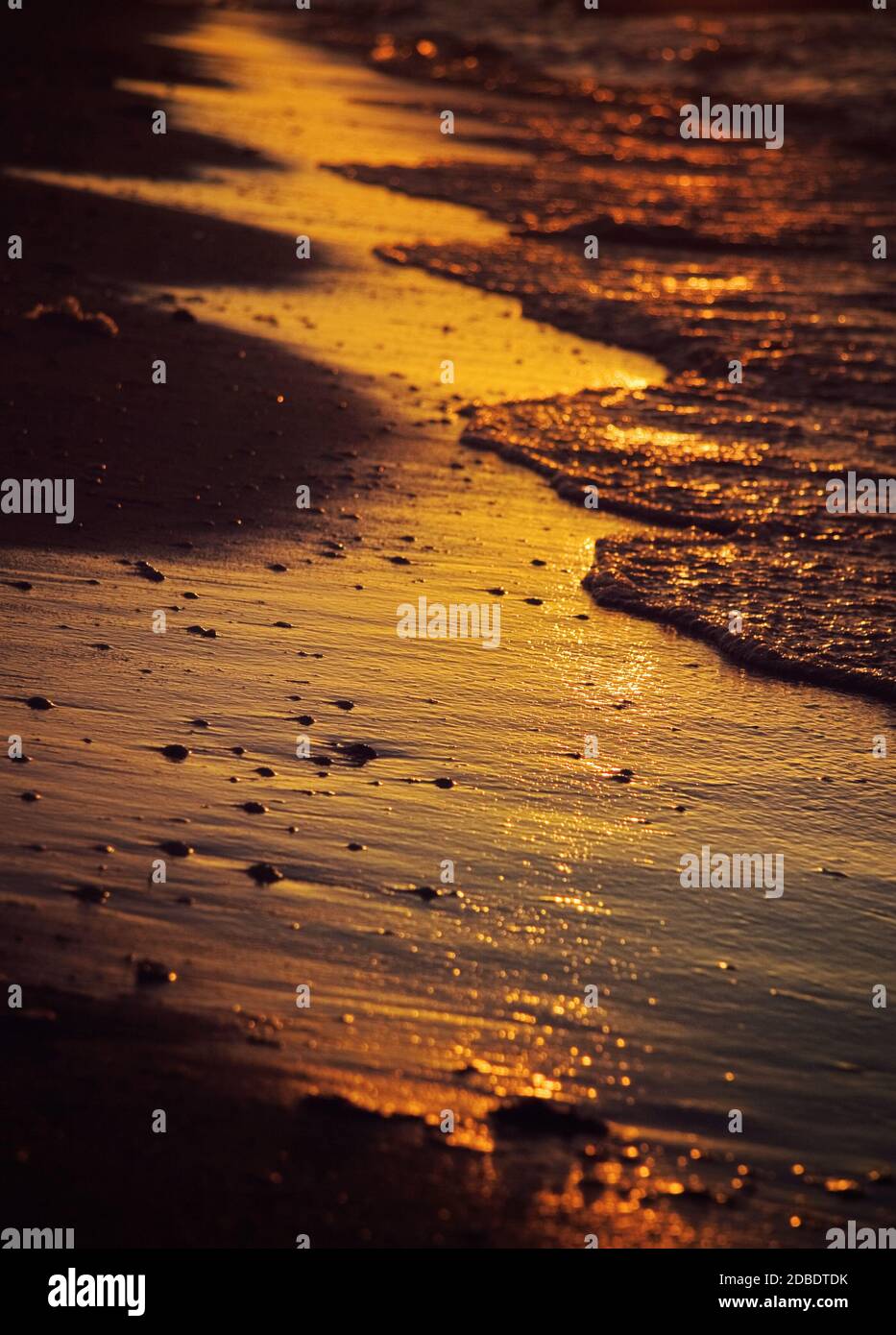 Sea washing wet sand on the beach during golden sunset light Stock ...
