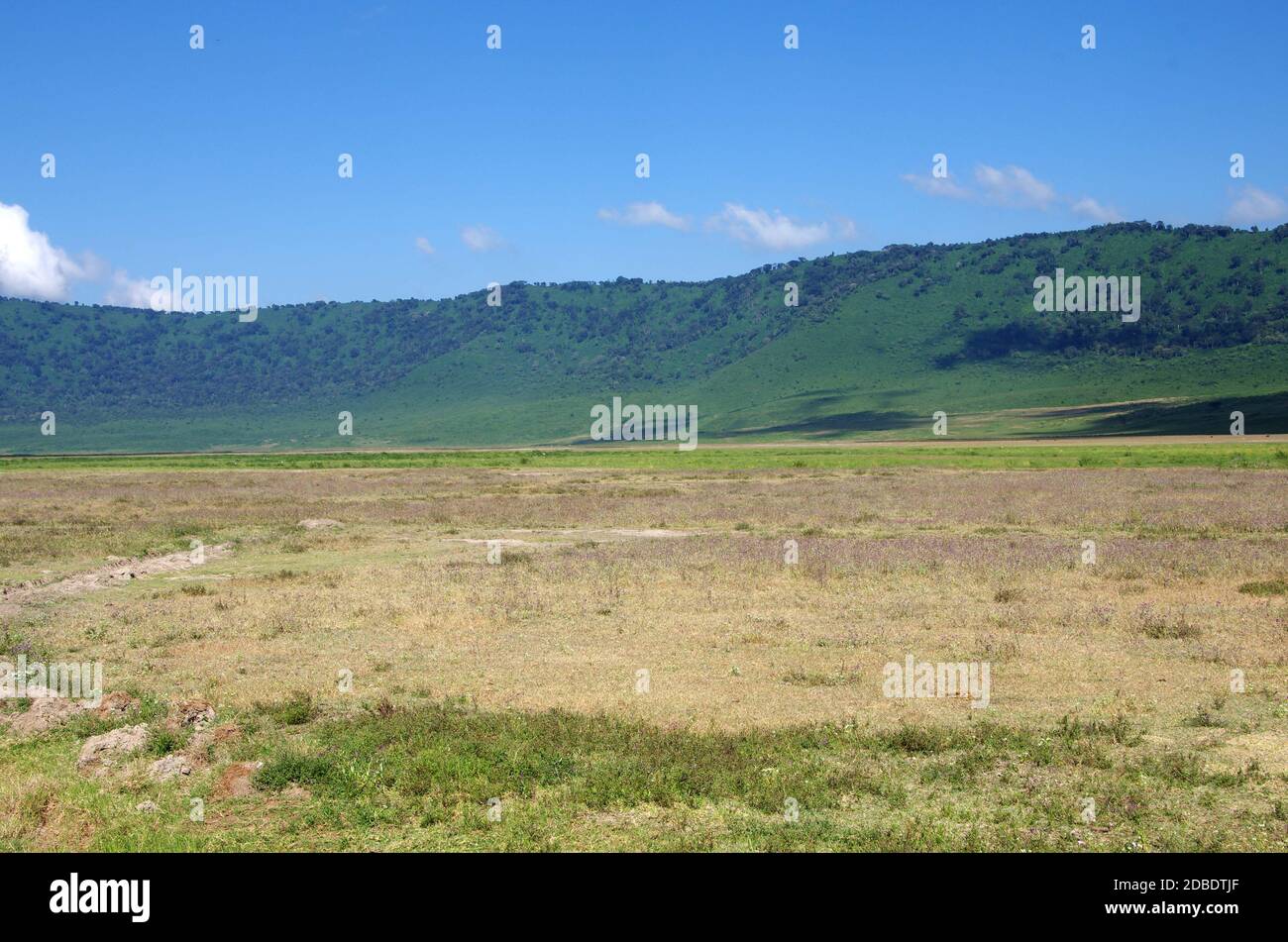 Landscape in the Ngorongoro crater in Tanzania Stock Photo - Alamy