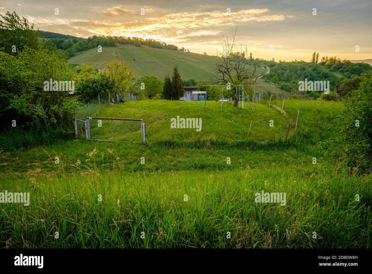 Allotment and vineyard landscape with clouds in the sky Stock Photo - Alamy