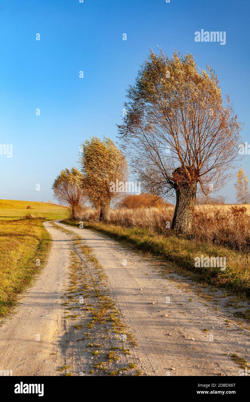 Ermland warmia hi-res stock photography and images - Alamy