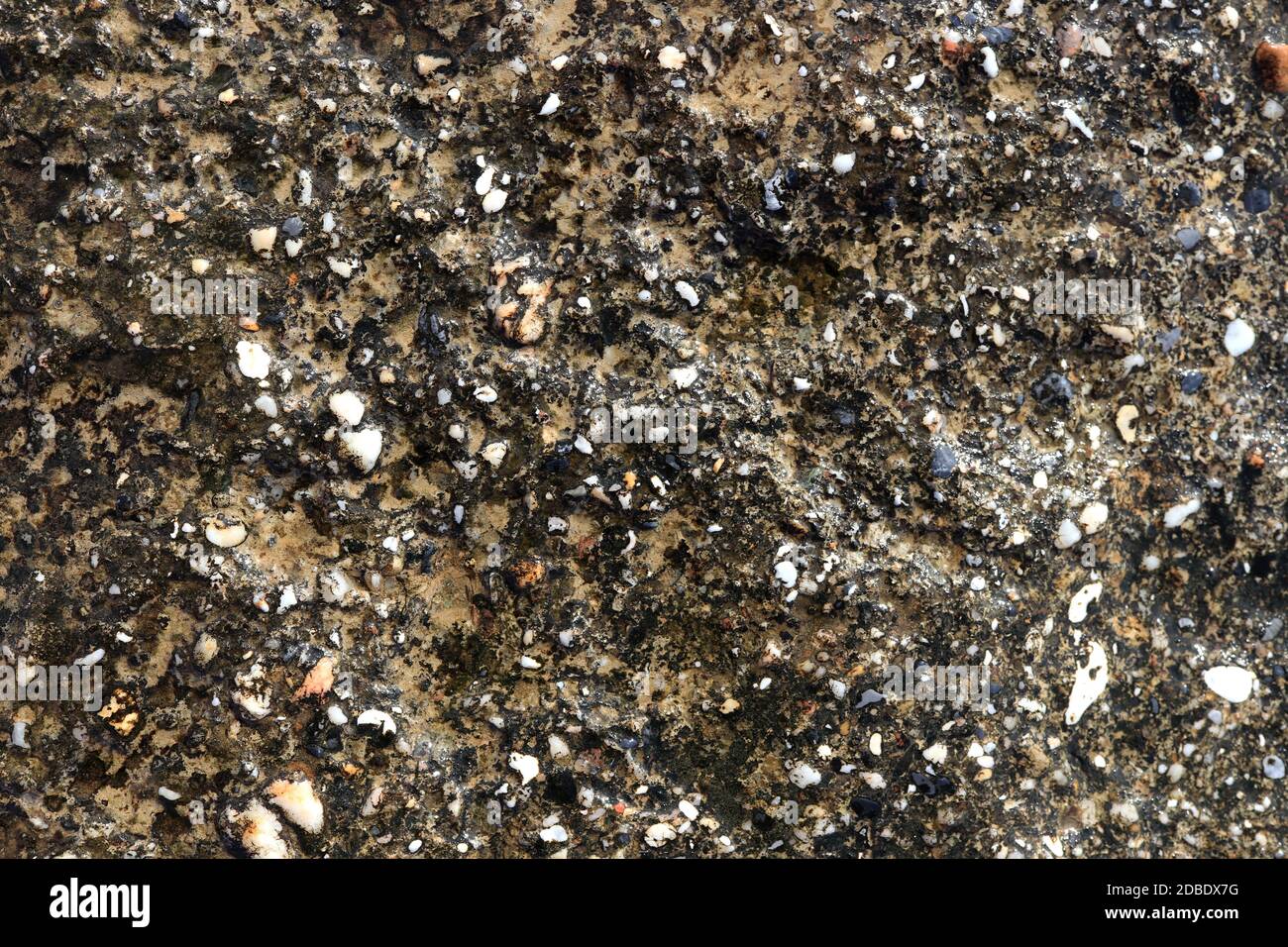 Cliff texture hi-res stock photography and images - Alamy