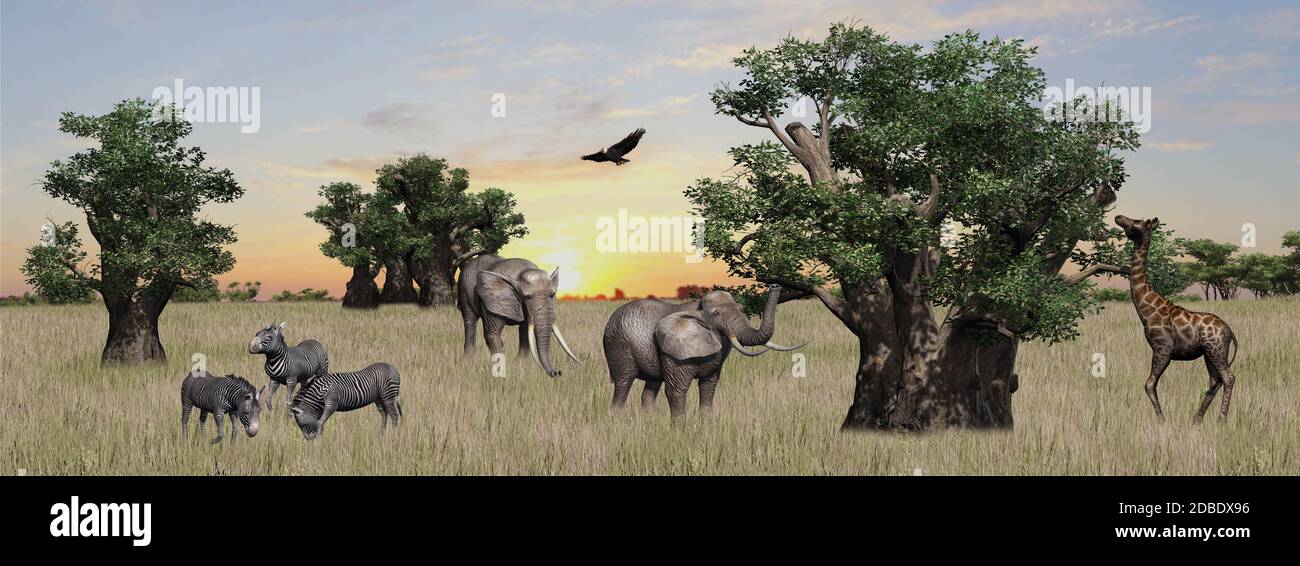 Compilation of various wild animals on African Savanna Stock Photo - Alamy