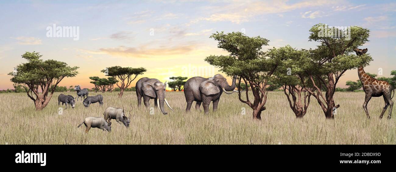 Compilation of various wild animals on African Savanna Stock Photo - Alamy