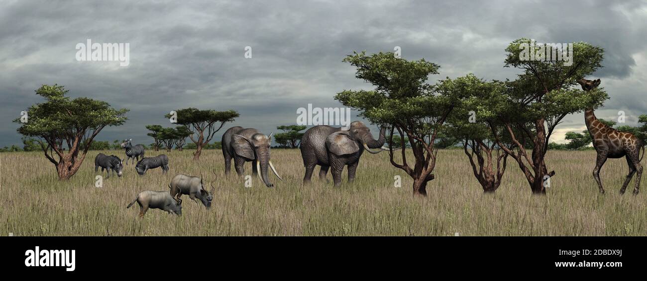 Compilation of various wild animals on African Savanna Stock Photo - Alamy