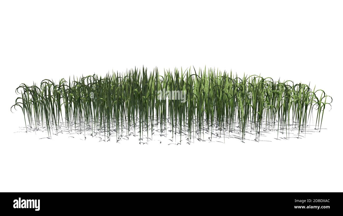 Fantasy Grass area with shadow on the floor Stock Photo - Alamy