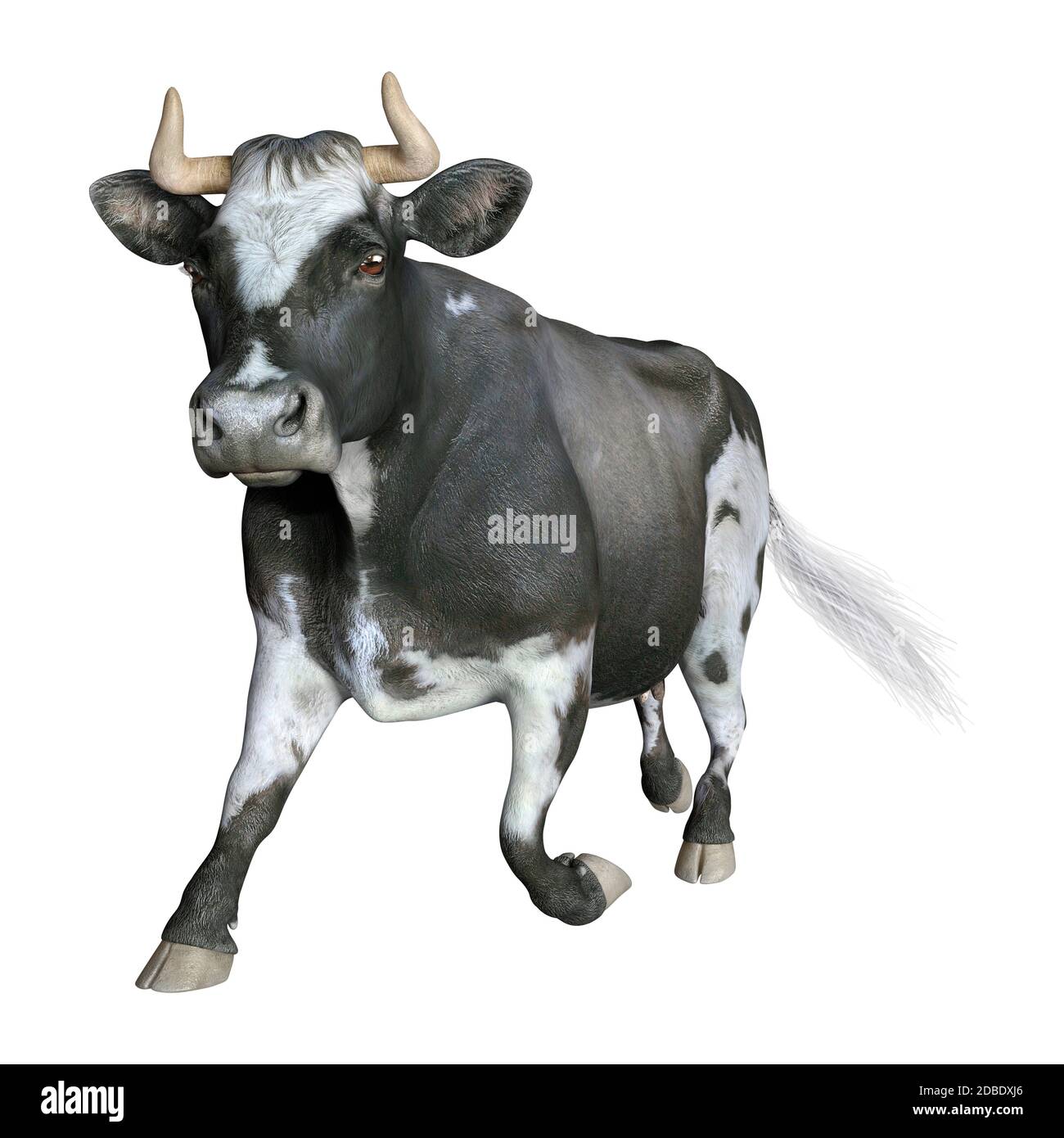 3D rendering of a farm animal cow isolated on white background Stock ...