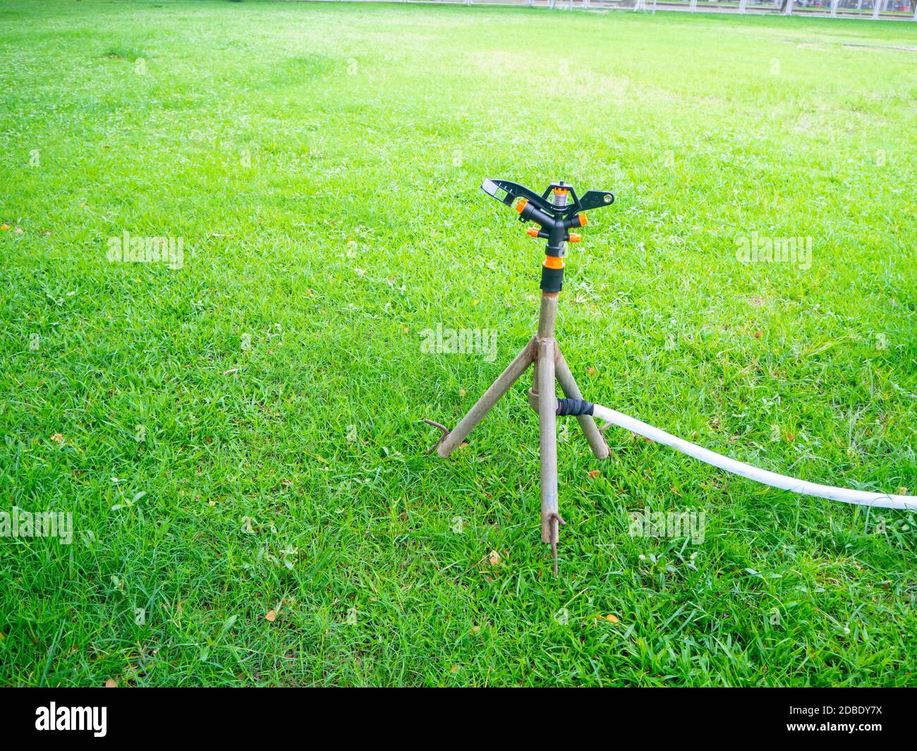 Watering plants and lawns in the garden is the selective focus of ...