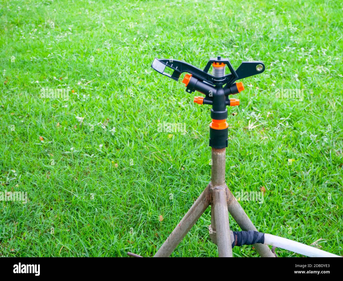 Watering plants and lawns in the garden is the selective focus of ...