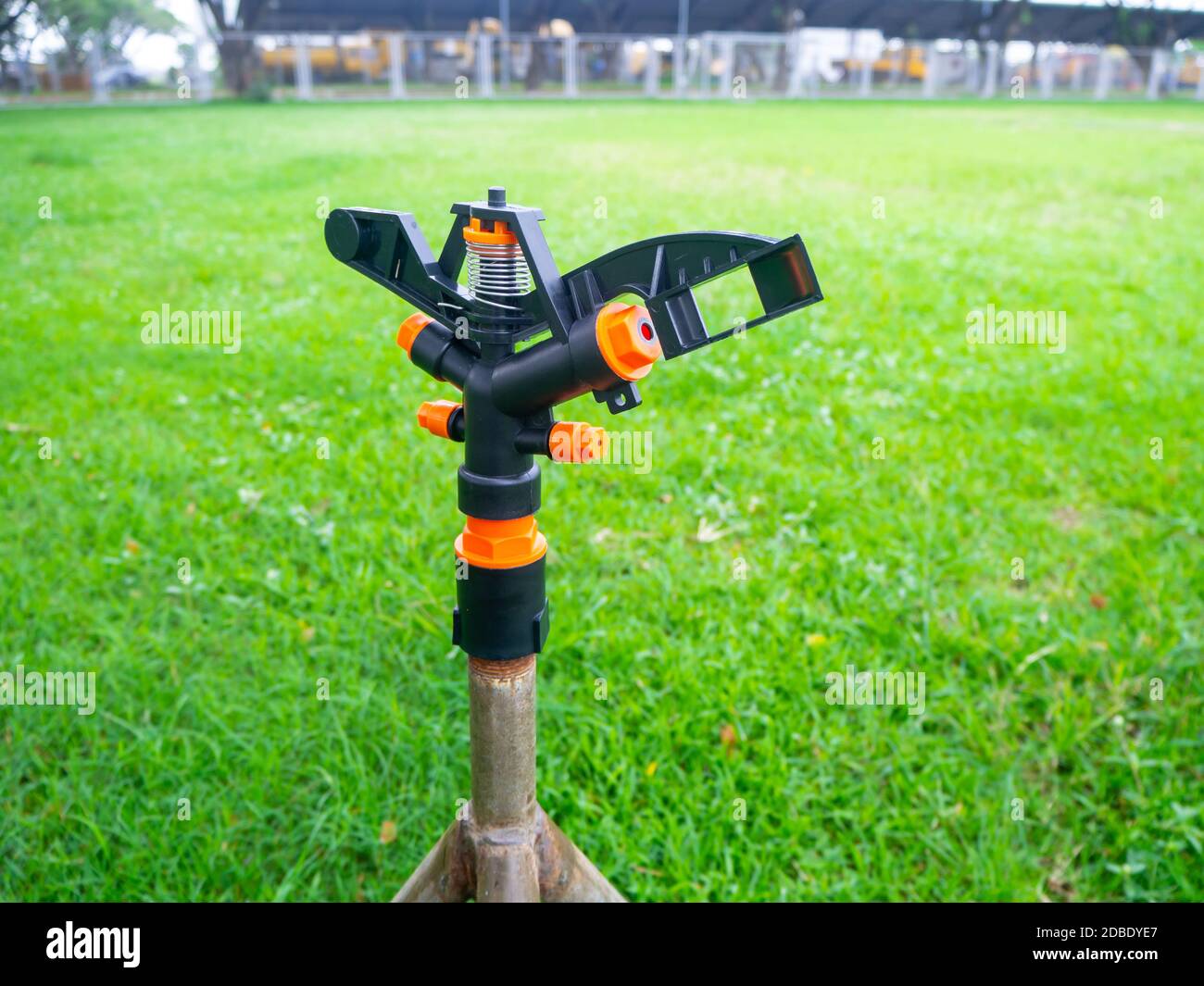 Watering plants and lawns in the garden is the selective focus of ...