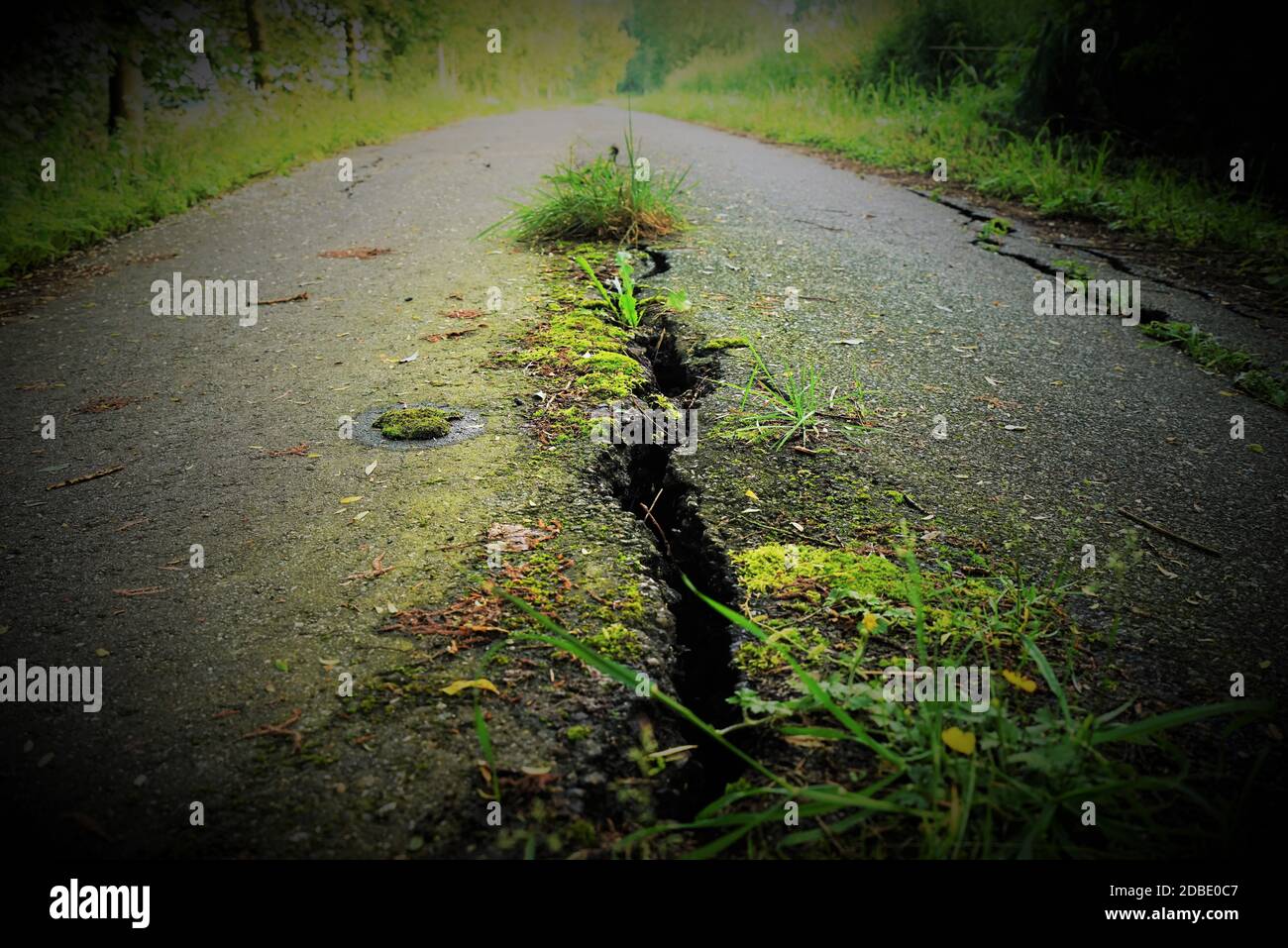 Road surface cracking hi-res stock photography and images - Alamy