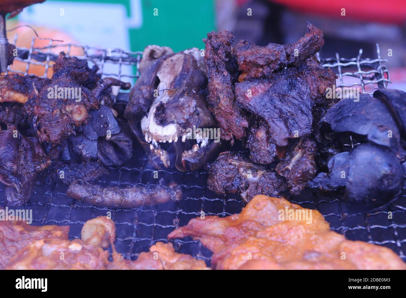 animal cruelty, a grilled dog head / skull lays among other dog meat ...