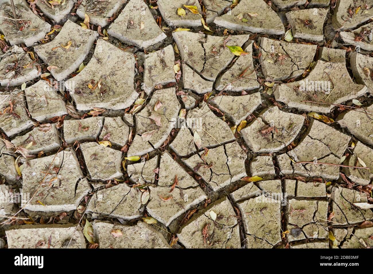 Dried out clay sediment of a riverbed with cracks Stock Photo - Alamy