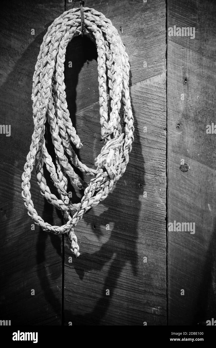 Retro style image of an old cowboy lasso at La Casona historic site in ...