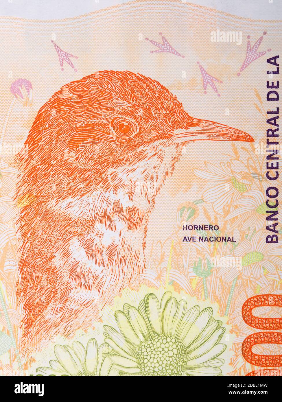 Argentina money wildlife hi-res stock photography and images - Alamy