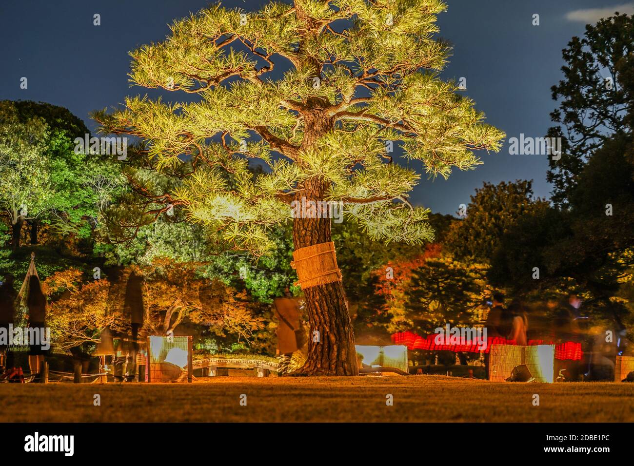 Daimyo garden of Rikugien (autumn colors). Shooting Location: Tokyo ...