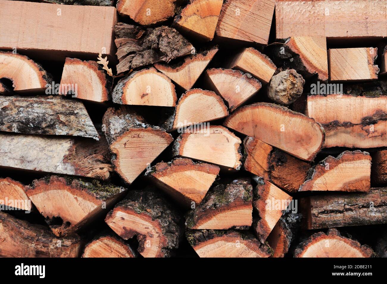 Lumber planks pile background. Wooden logging backdrop. Timber butts ...