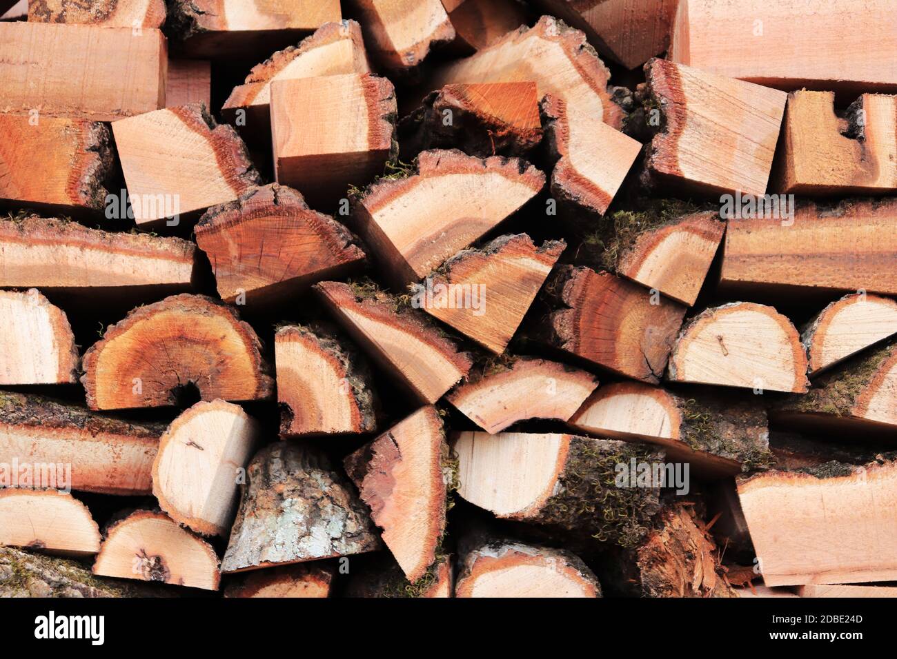 Wooden logging backdrop. Timber butts stack texture. Lumber planks pile ...