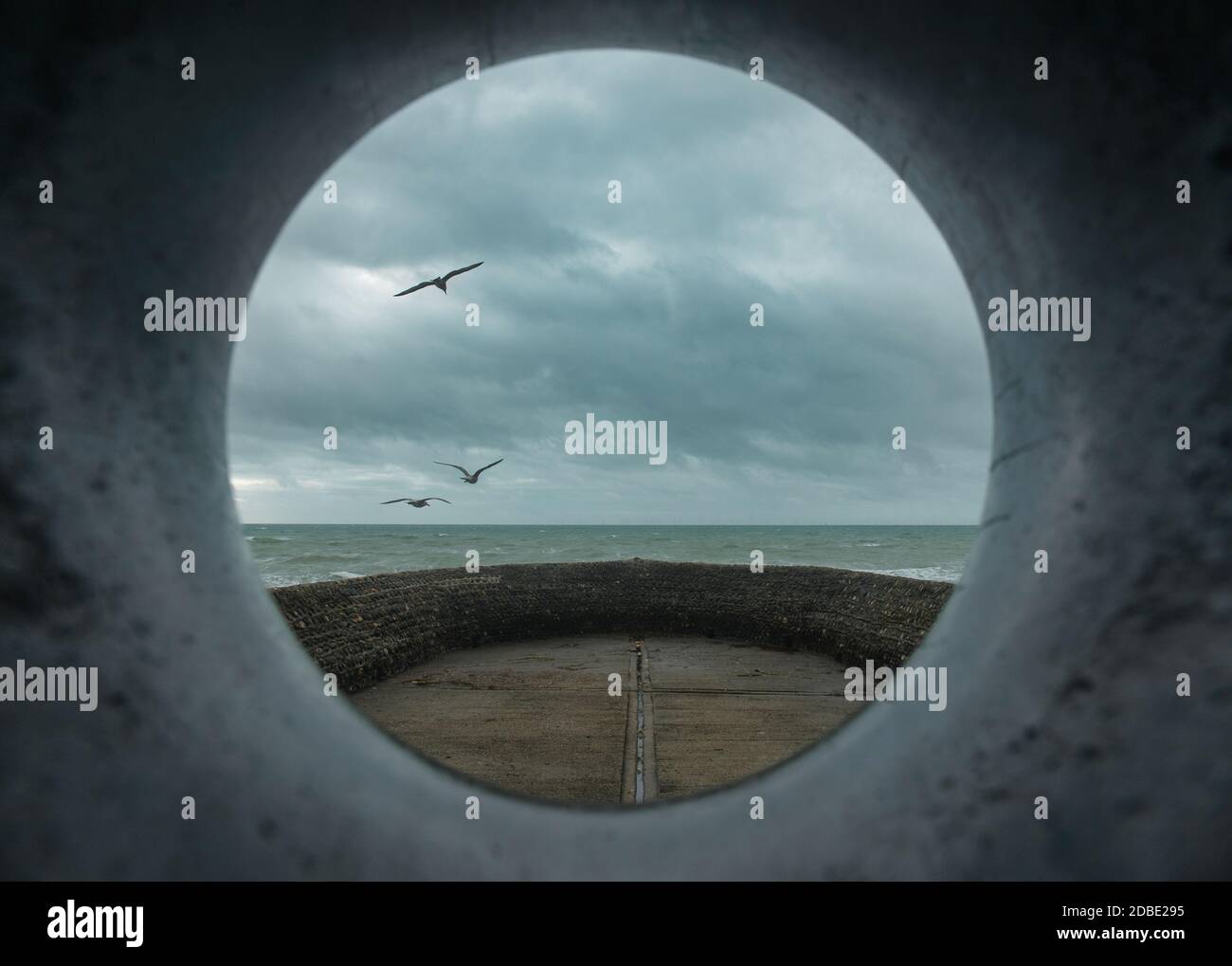 Framed by a circle seascape of Brighton with flying birds, England ...