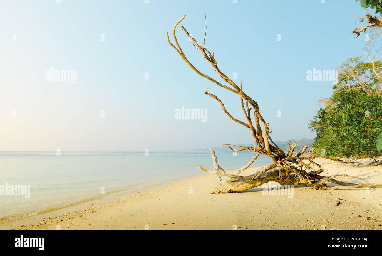 Indian ocean tsunami hi-res stock photography and images - Alamy