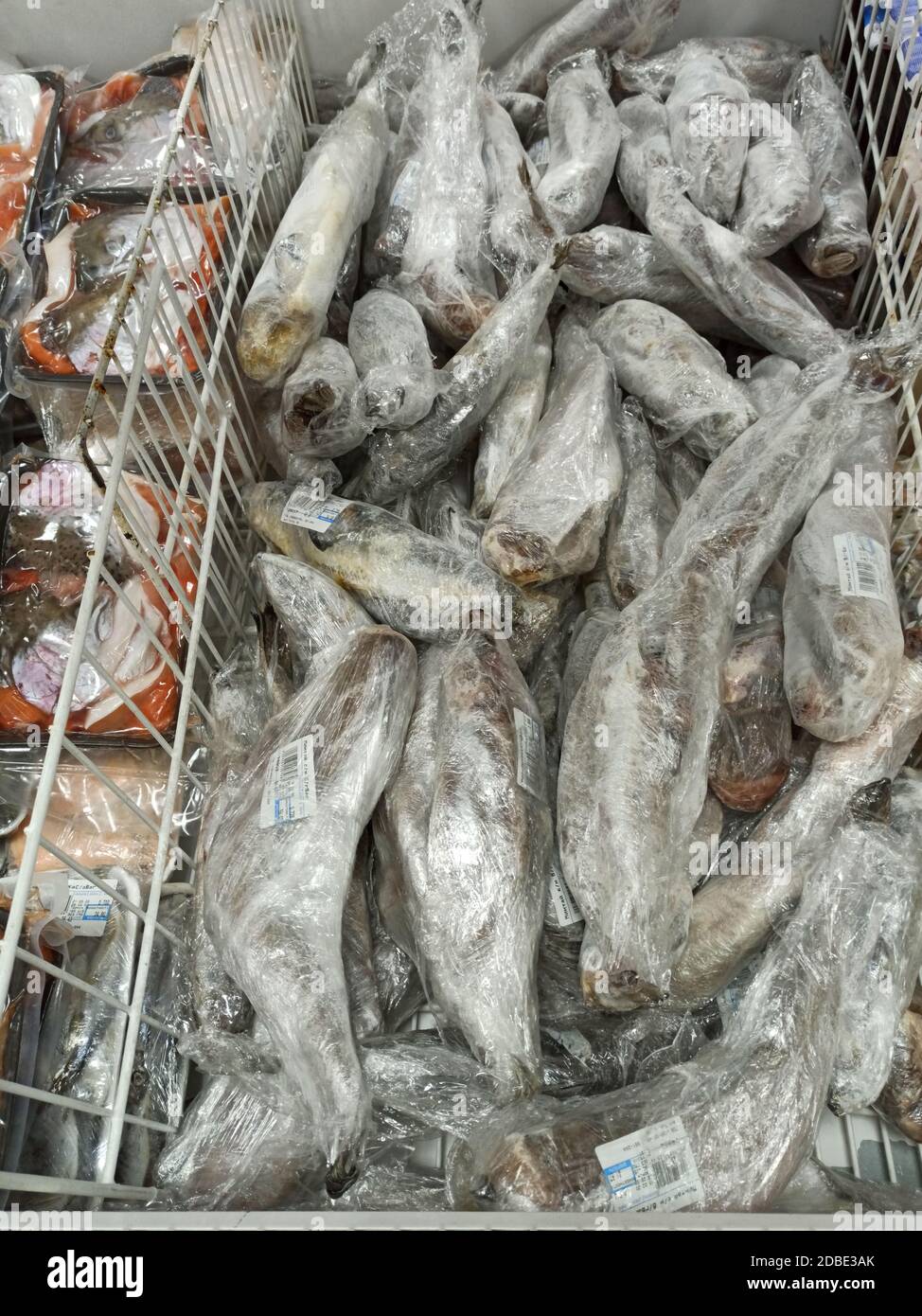Pollock in the store. Frozen fish in supermarket refrigerator. Frozen ...