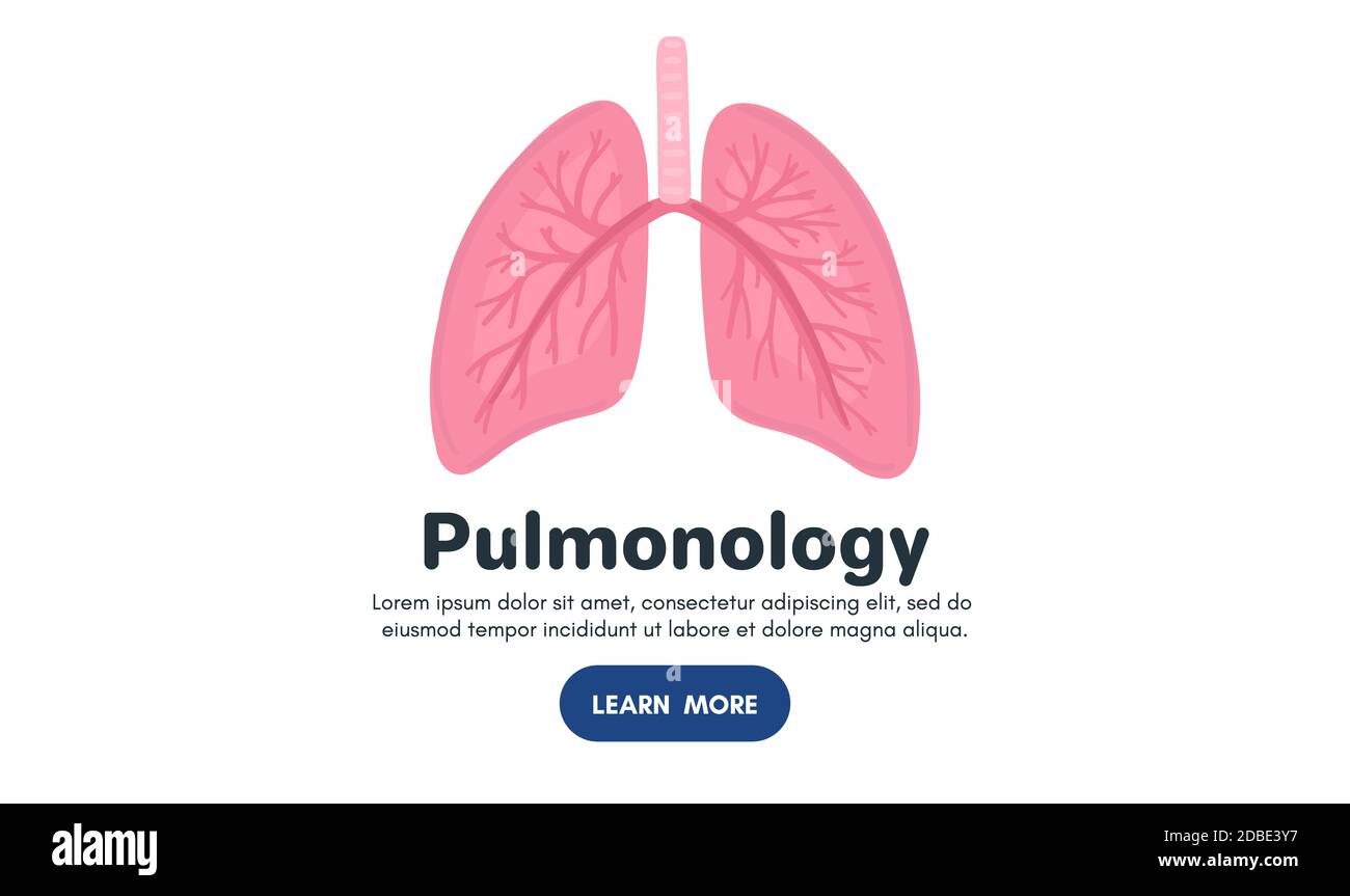 Vector healthy human lungs. Background for label, advertisement of ...