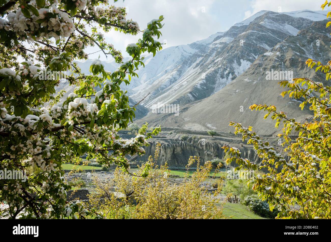 Houses mountain greenery tree grass hi-res stock photography and images ...